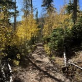 Goodwin Lakes Trail, Colorado - 134 Reviews, Map | AllTrails