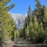 Karst Spring Trail, Alberta, Canada - 840 Reviews, Map | AllTrails