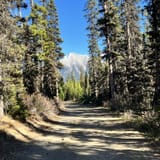 Karst Spring Trail, Alberta, Canada - 833 Reviews, Map | AllTrails