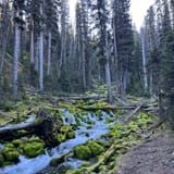 Karst Spring Trail, Alberta, Canada - 840 Reviews, Map | AllTrails