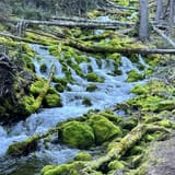 Karst Spring Trail, Alberta, Canada - 840 Reviews, Map | AllTrails