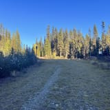 Karst Spring Trail, Alberta, Canada - 840 Reviews, Map | AllTrails