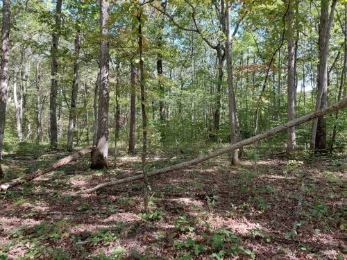 Best Hikes and Trails in Bryant Creek State Park | AllTrails