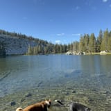 Weaver Lake Trail, California - 914 Reviews, Map | AllTrails