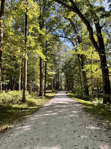 10 Best Trail Running Trails in William B. Umstead State Park | AllTrails