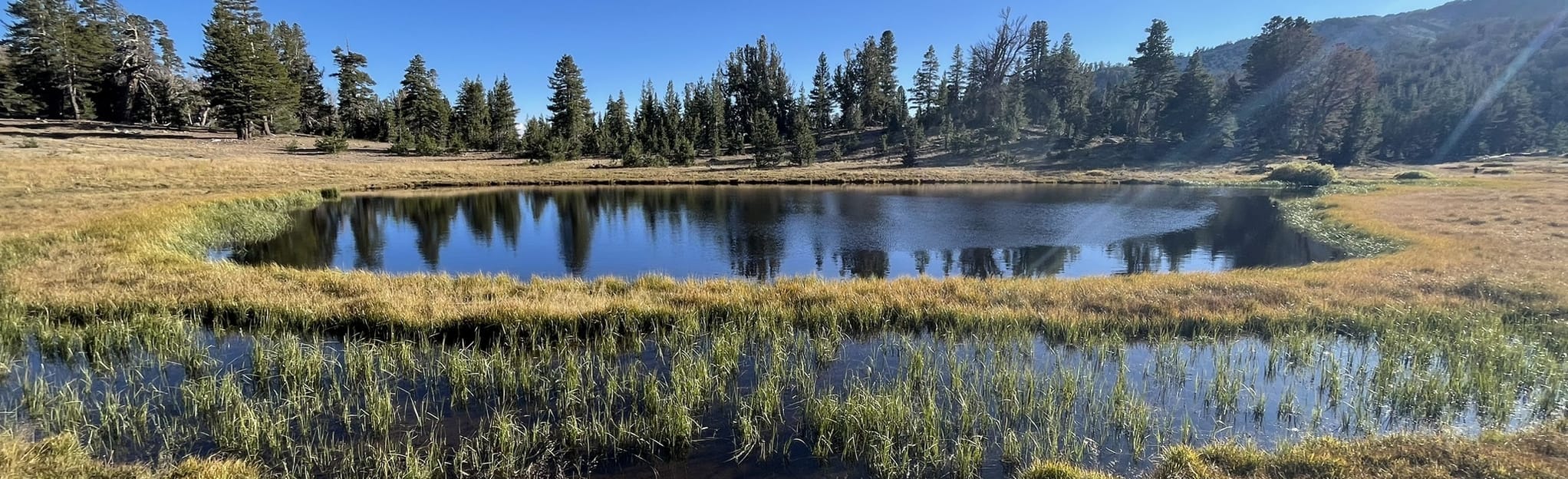 Relay Peak and Mount Houghton Trail : 1.547 foto - Nevada | AllTrails
