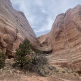 Church Rock Trail, New Mexico - 491 Reviews, Map | AllTrails