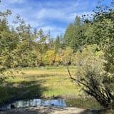 Tradition Lake Loop Trail, Washington - 1,521 Reviews, Map | AllTrails
