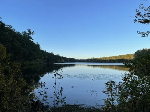 Best Hikes and Trails in Rutland State Park | AllTrails