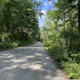 Whitney Point Lake Trail, New York - 313 Reviews, Map | AllTrails