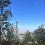 Mount Sutro Loop, California - 2,213 Reviews, Map | AllTrails