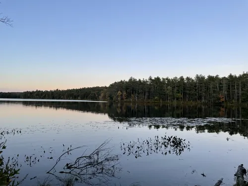 Best Hikes and Trails in Rutland State Park | AllTrails