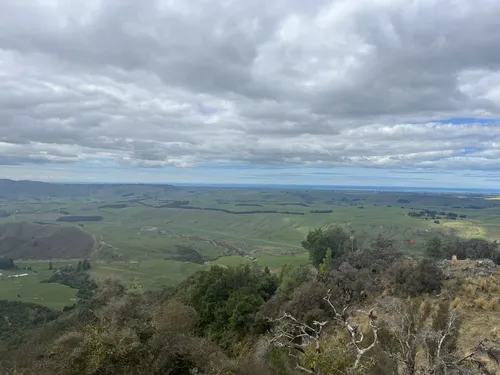 Best Hikes and Trails in Mount Nimrod Scenic Reserve | AllTrails