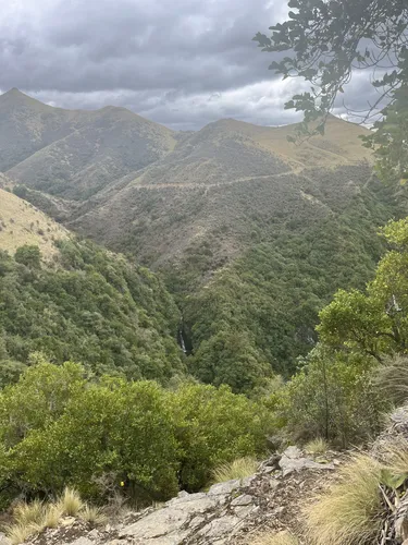 Best Hikes and Trails in Mount Nimrod Scenic Reserve | AllTrails