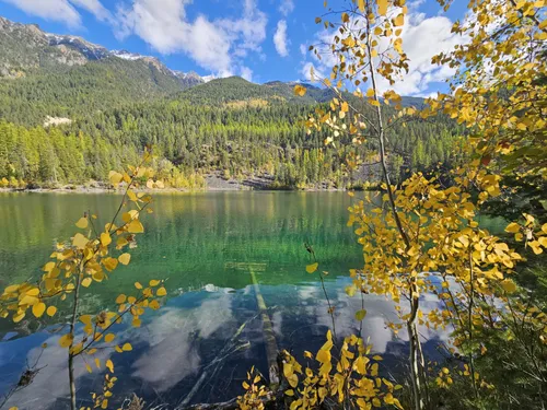 Best Forest Trails in Premier Lake Provincial Park | AllTrails