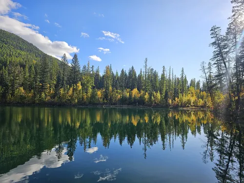 Best Forest Trails in Premier Lake Provincial Park | AllTrails