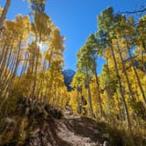 Schofield Pass Road, Colorado - 168 Reviews, Map | AllTrails