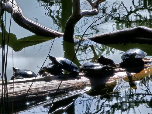 Best Hikes and Trails in Premier Lake Provincial Park | AllTrails