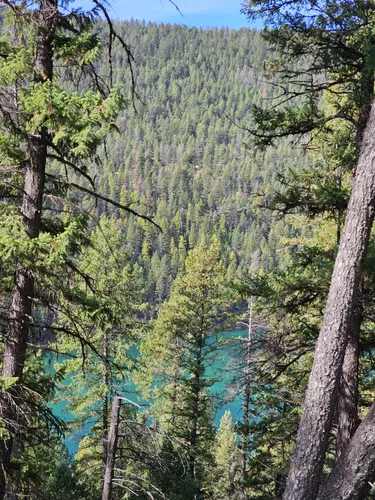 Best Forest Trails in Premier Lake Provincial Park | AllTrails