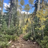 Crystal Springs Loop, Utah - 126 Reviews, Map | AllTrails