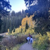 Silver Lake Loop Trail, Utah - 1,601 Reviews, Map | AllTrails