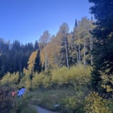 Silver Lake Loop Trail, Utah - 1,601 Reviews, Map | AllTrails