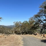 Spring Lake Loop, California - 1,444 Reviews, Map | AllTrails