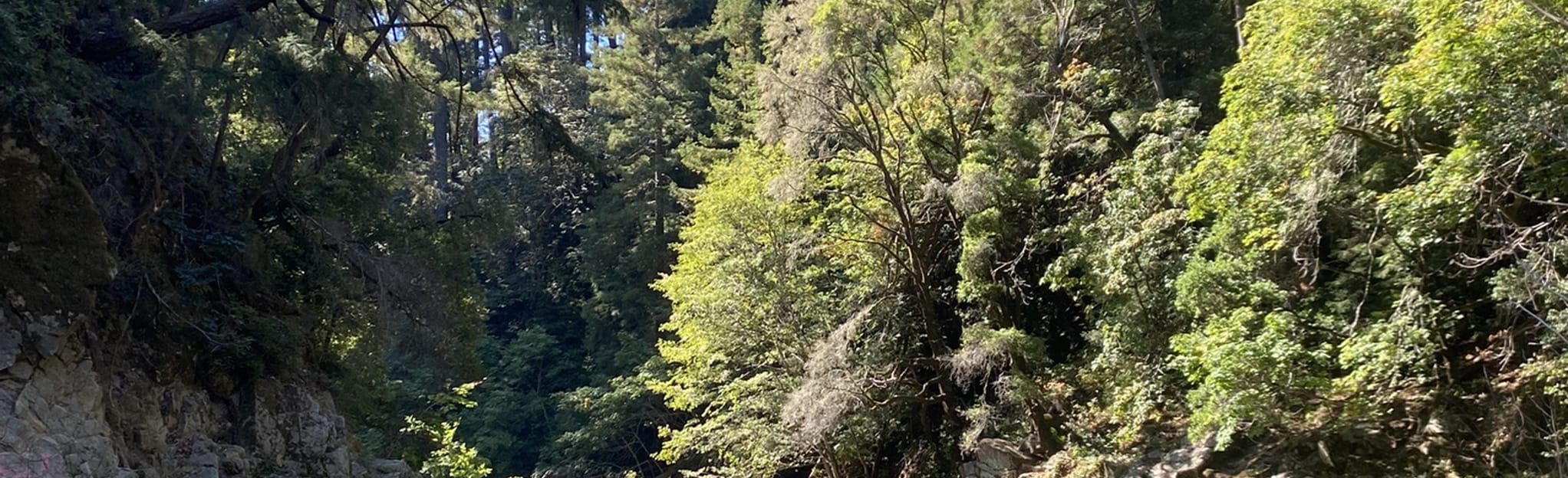 Ox Road Trail to Garden of Eden, California - 669 Reviews, Map | AllTrails