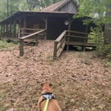 Mountain Tea State Forest Cabin and Pond, Indiana - 189 Reviews, Map ...