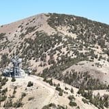 Galena Falls Trail, Nevada - 2,271 Reviews, Map | AllTrails