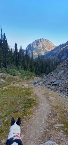 Best Hikes and Trails in Gorman Lake and Trail Recreation Site | AllTrails