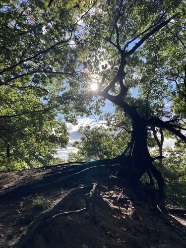 Best Hikes and Trails in Muskegon State Park | AllTrails