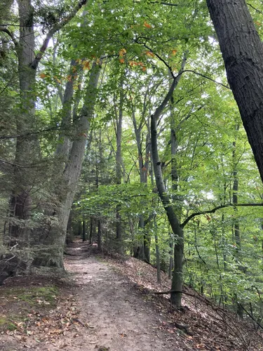 Best Hikes and Trails in Muskegon State Park | AllTrails