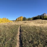 Engineer Mountain Trail, Colorado - 288 Reviews, Map | AllTrails