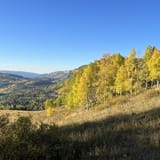 Engineer Mountain Trail, Colorado - 303 Reviews, Map | AllTrails