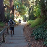 Dipsea Trail from Mill Valley Trailhead, California - 1,892 Reviews ...