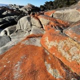 Skeleton Bay to Skeleton Point, Tasmania, Australia - 69 Reviews, Map ...