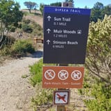 Dipsea Trail from Mill Valley Trailhead, California - 1,892 Reviews ...