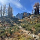 Easy Pass Trail, Washington - 464 Reviews, Map | AllTrails