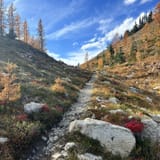 Easy Pass Trail, Washington - 464 Reviews, Map | AllTrails