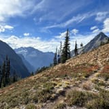 Easy Pass Trail, Washington - 464 Reviews, Map | AllTrails