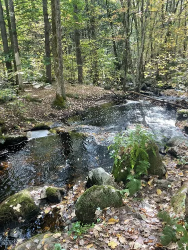 Best Hikes and Trails in Batchelder Mill | AllTrails