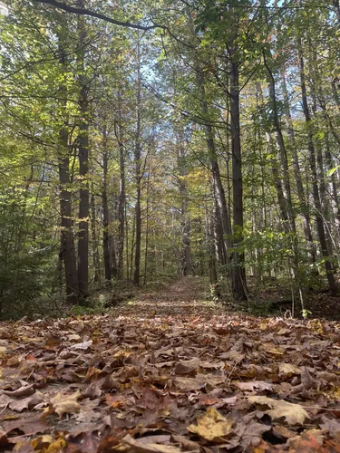 Best Hikes and Trails in Batchelder Mill | AllTrails