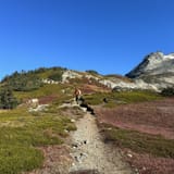 Sahale Arm Trail to Sahale Mountain, Washington - 334 Reviews, Map ...