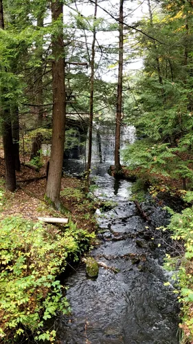 Best Hikes and Trails in Muckross State Park | AllTrails