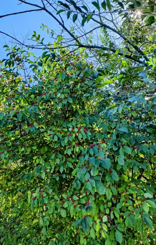 Best Hikes and Trails in Spring Hill | AllTrails