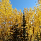 Fault Lake, Idaho - 221 Reviews, Map | AllTrails