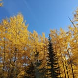 Fault Lake, Idaho - 221 Reviews, Map | AllTrails