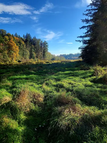 10 Best Trails and Hikes in Langley | AllTrails