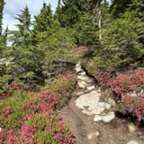 Huntoon Point via Artist Ridge Trail, Washington - 719 Reviews, Map ...